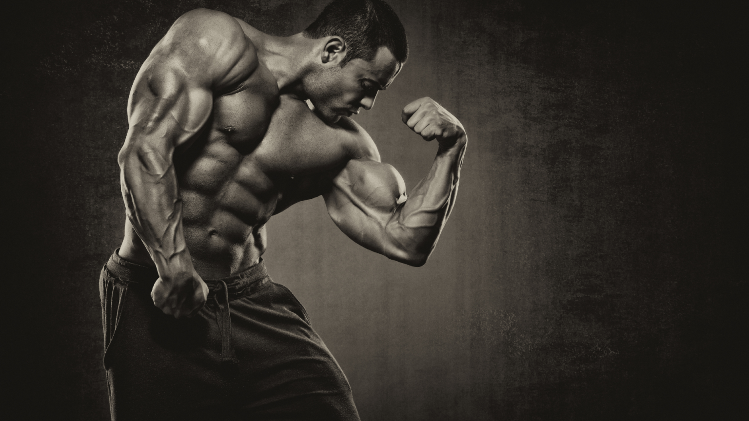 Gain Maximum muscular potential | Wilks Calculator
